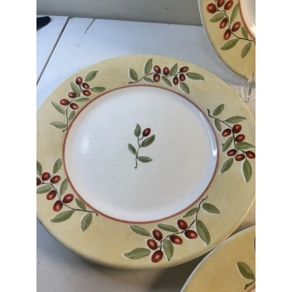 Corelle | Dining | Corelle Ultra Radiance Vitrelle 75 Dinner Plates ...